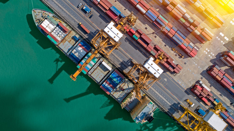 International Shipping Support for Ecommerce Companies | DCL Logistics